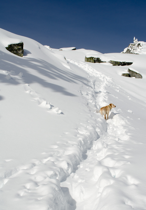 It's hard to say goodbye (to the last fresh snow of the year ...